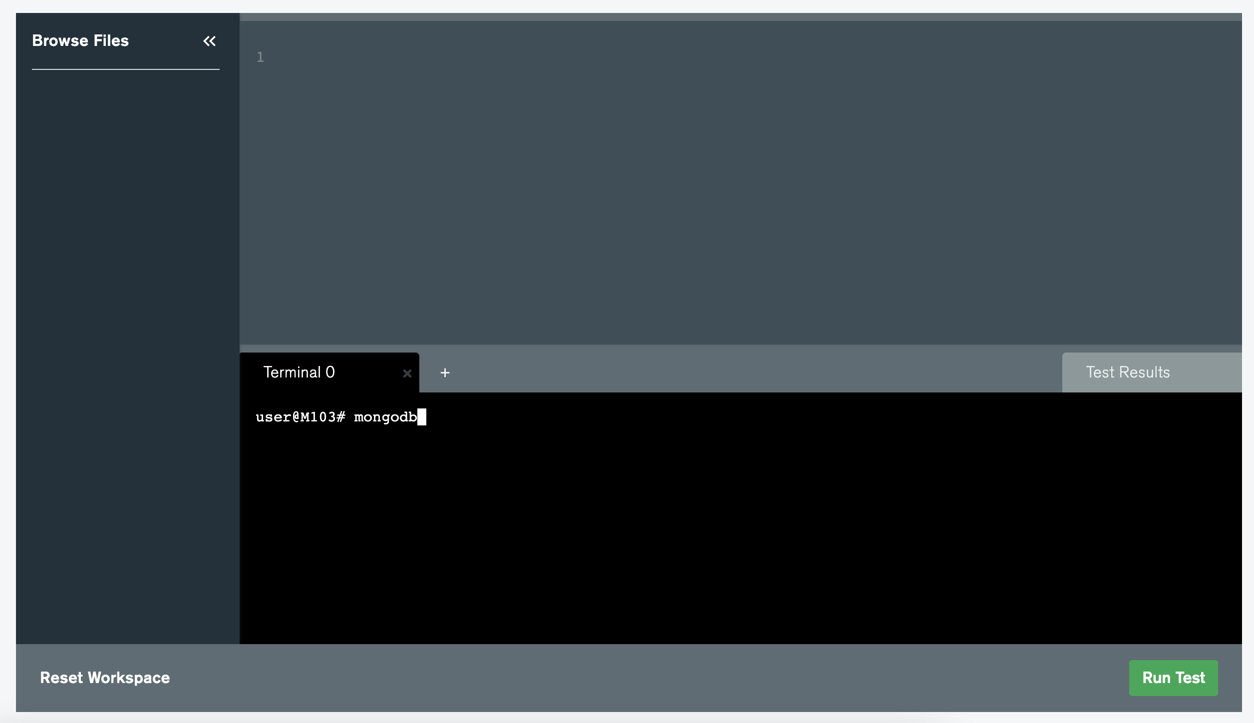I Am Not Able To Type In The Browser Ide M103 Basic Cluster Administration Mongodb