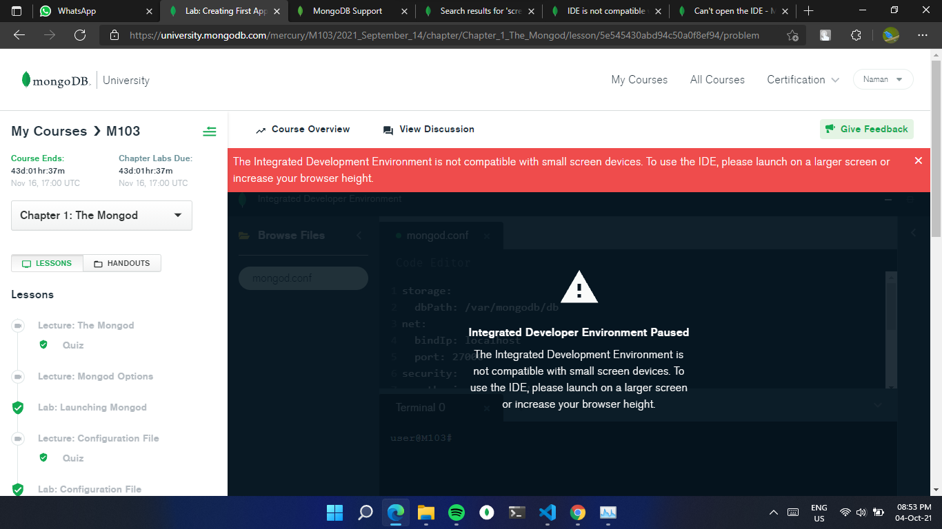 IDE is not compatible with small screen devices! - M001: MongoDB Basics - MongoDB Developer ...