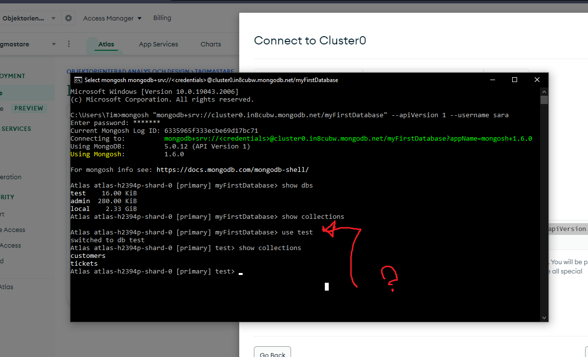 Filling collection with schema data problem - Node.js Frameworks - MongoDB Developer Community ...