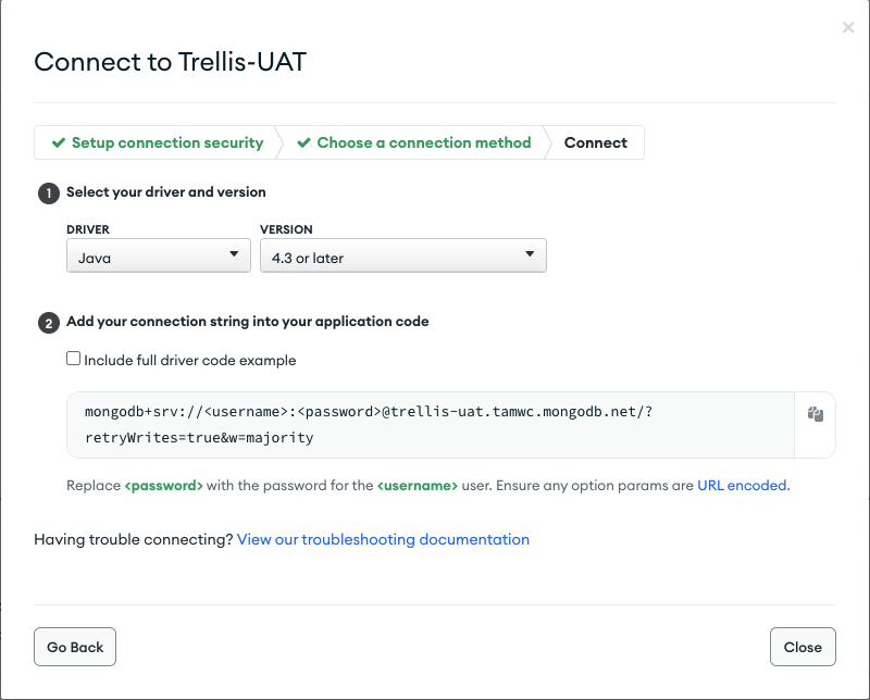 Unable To Look Up Txt Record For Host From Intellij 3 By Josephmagara