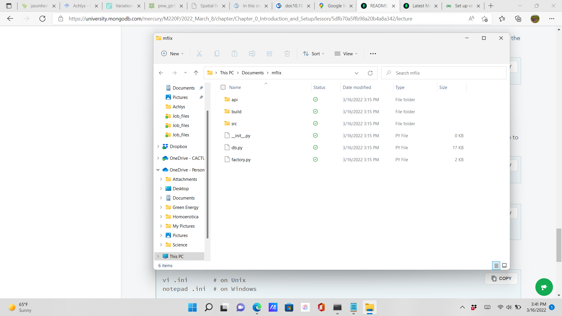 There is no dotini (Chapter 0) - M220P: MongoDB for Python Developers - MongoDB Developer ...