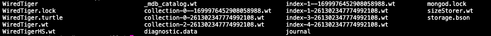 Newbie Mongod Not Working Ops And Admin Mongodb Developer