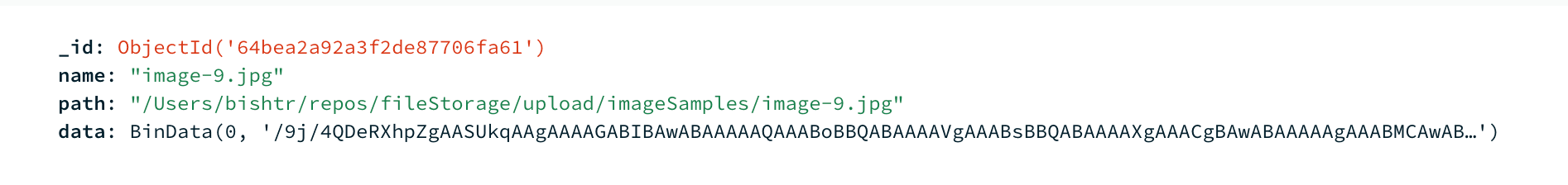 Storing Binary Data With Mongodb And C Mongodb